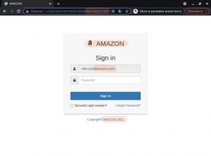 What are phishing kits (phishkits)? | Securelist