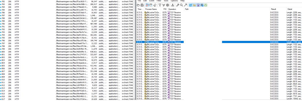 Malicious CAPTCHA delivers Lumma and Amadey Trojans | Securelist