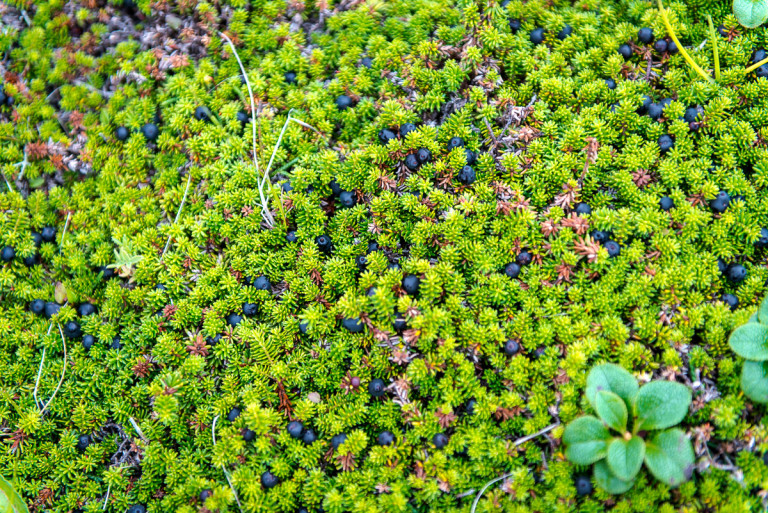 Kuril islands - Simushir | Nota Bene: Eugene Kaspersky’s Official Blog