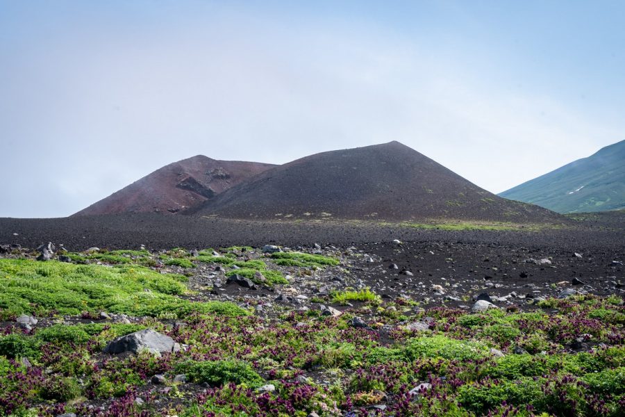 The ‘Olympic Rupture’ of Alaid Volcano on Atlasov Island – Exclusive ...