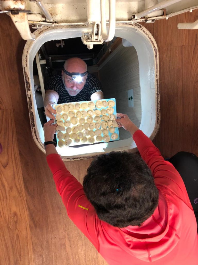 The world’s largest man-made explosion ever – by far: in the Kurils ...