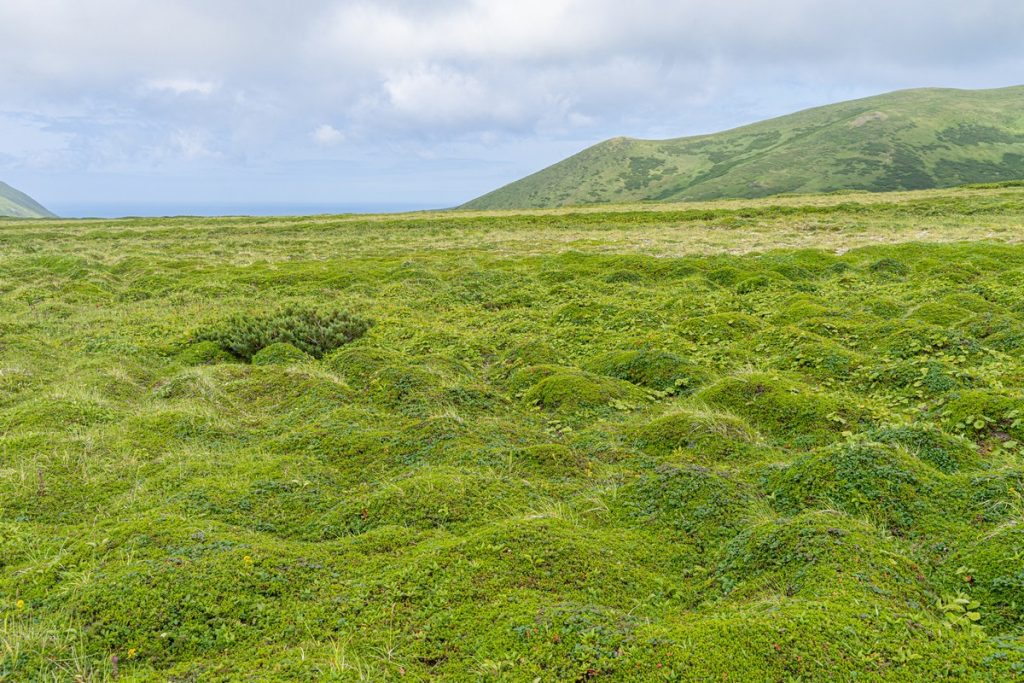 Krenitsyn volcano is the world’s most-beautiful spot. So, did we get up ...