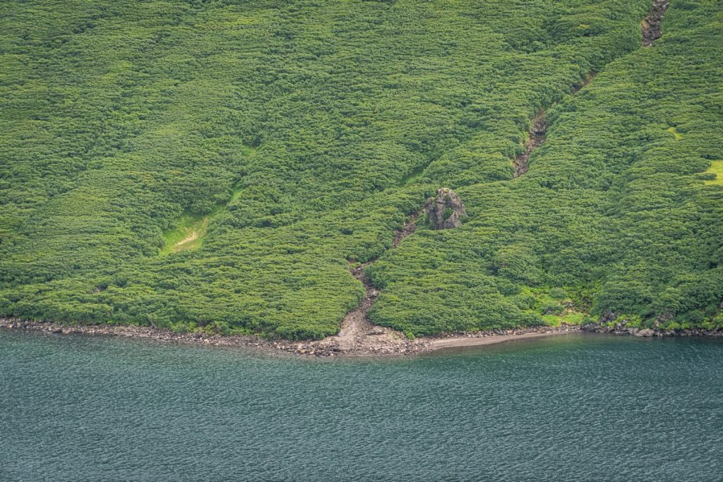Krenitsyn volcano is the world’s most-beautiful spot. So, did we get up ...