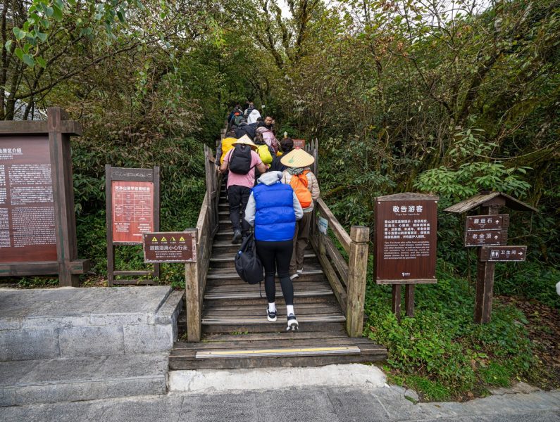 The sacred Mount Fanjing and its impossibly-perched Buddhist temple(s ...