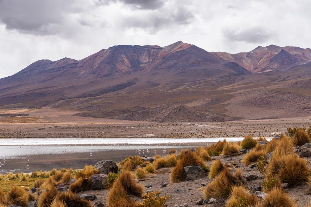 Altiplano – lagoons, unique rock formations, and flamingo! | Nota Bene ...